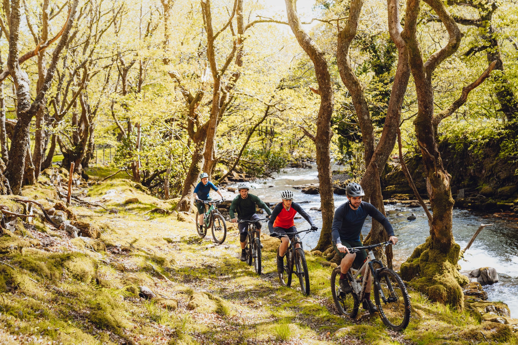 Rivelo | Rides with you